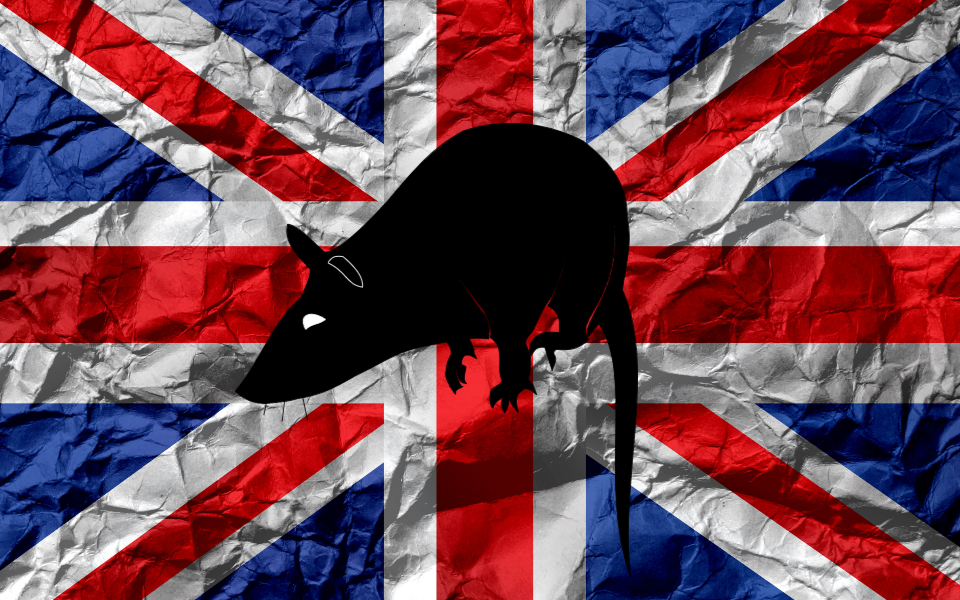 London Rats Group | The100.io